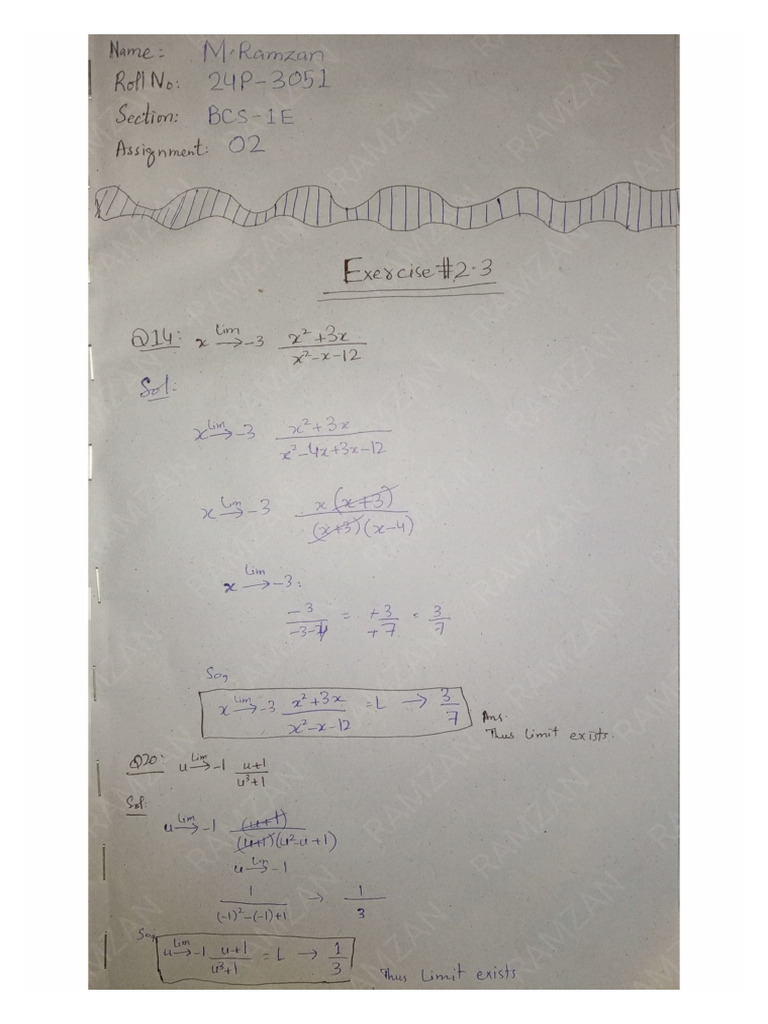 Calculus Assignment 2 | PDF