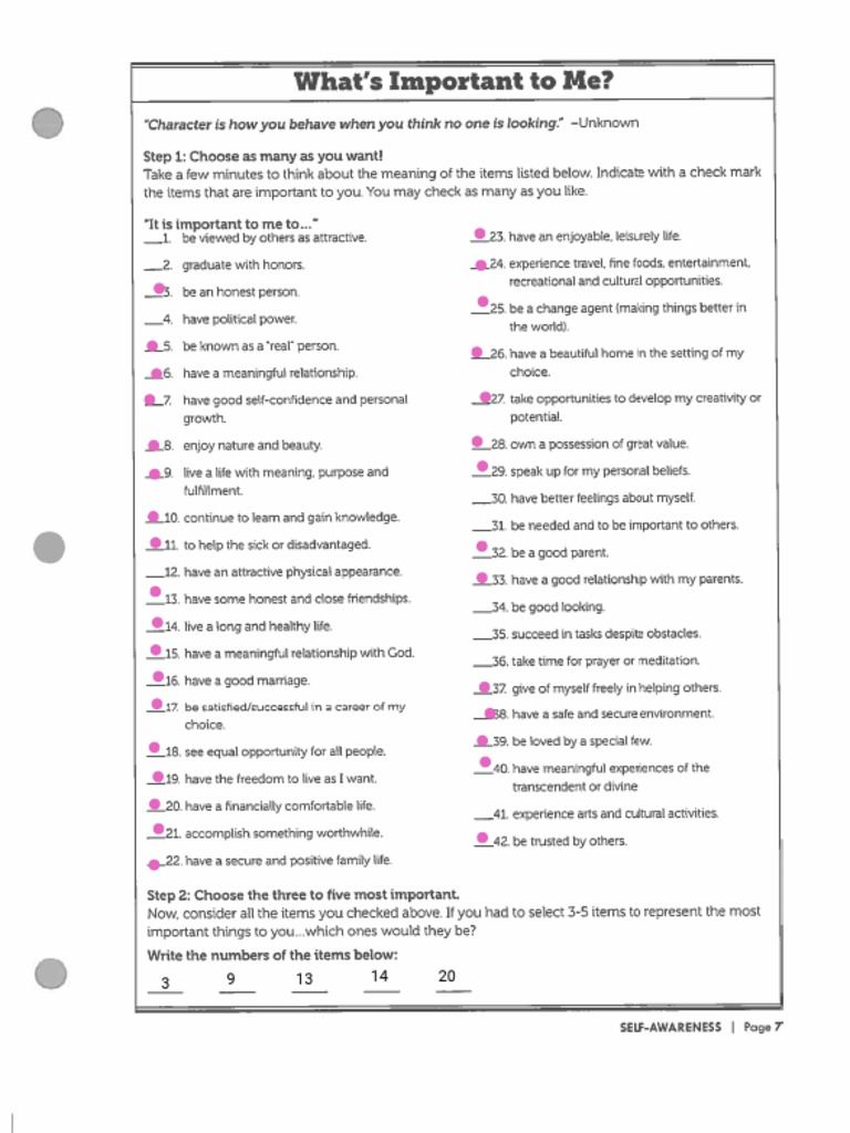 Lesson 2 - What's Important To Me Student Handout | PDF