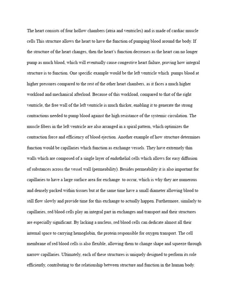 Structure Determines Function | PDF