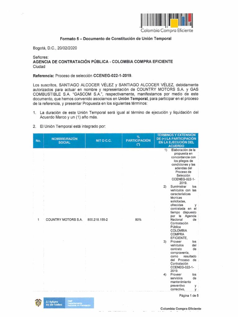 Modelo de Constitucion Union Temporal | PDF