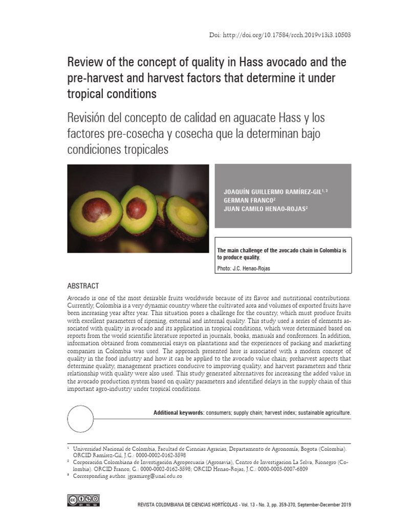 RCCH, Web 04 ReviewConceptAvocado RCCH13 | PDF | Avocado