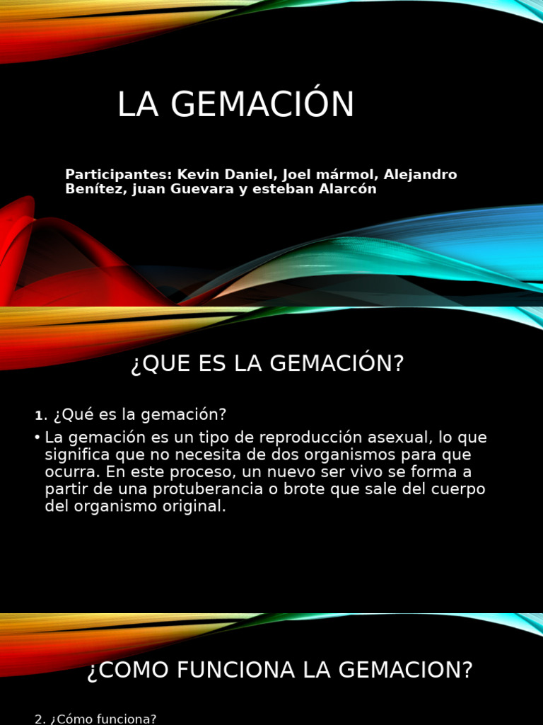 Gemación: Reproducción Asexual Explicada | PDF