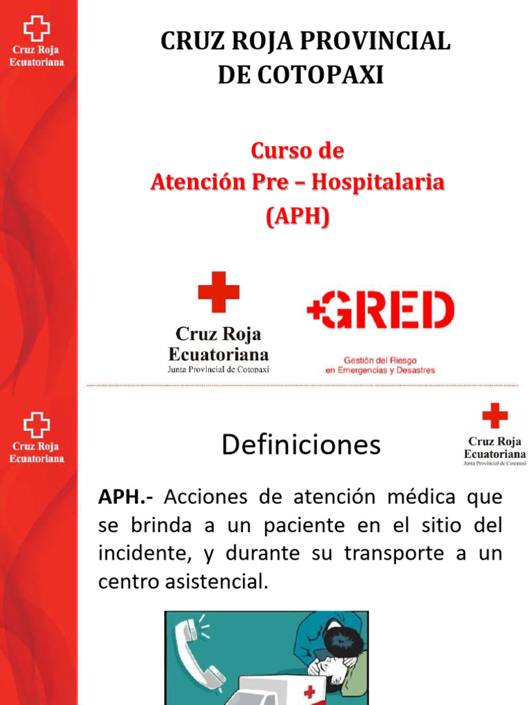 APH | PDF | Legumbres | Medicamentos con receta