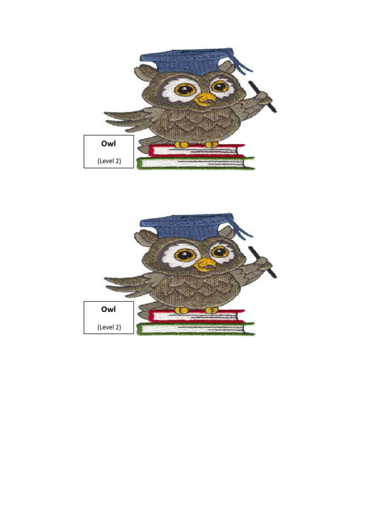 Owl (Level 2) | PDF