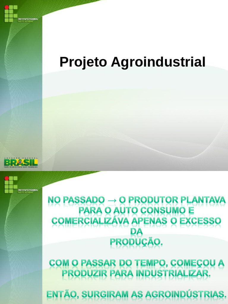 Aula 3a- Roteiro projeto agroindustria | PDF | Agronegócio | Custo