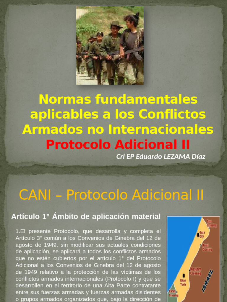Normas Fundamentales CANI - Protocolo II | PDF | Castigos | Convenios de Ginebra