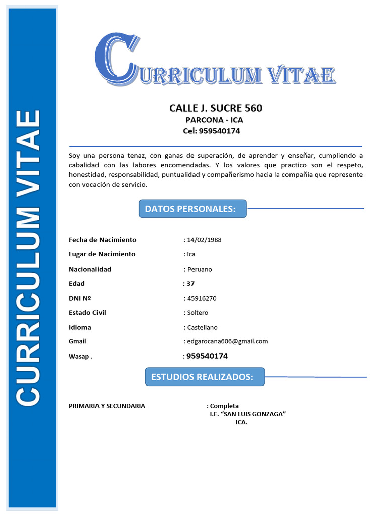 Perfil Profesional de George Palacios | PDF