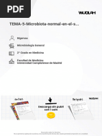 Etapas Del Proceso Infeccioso | PDF | Infección | Las bacterias