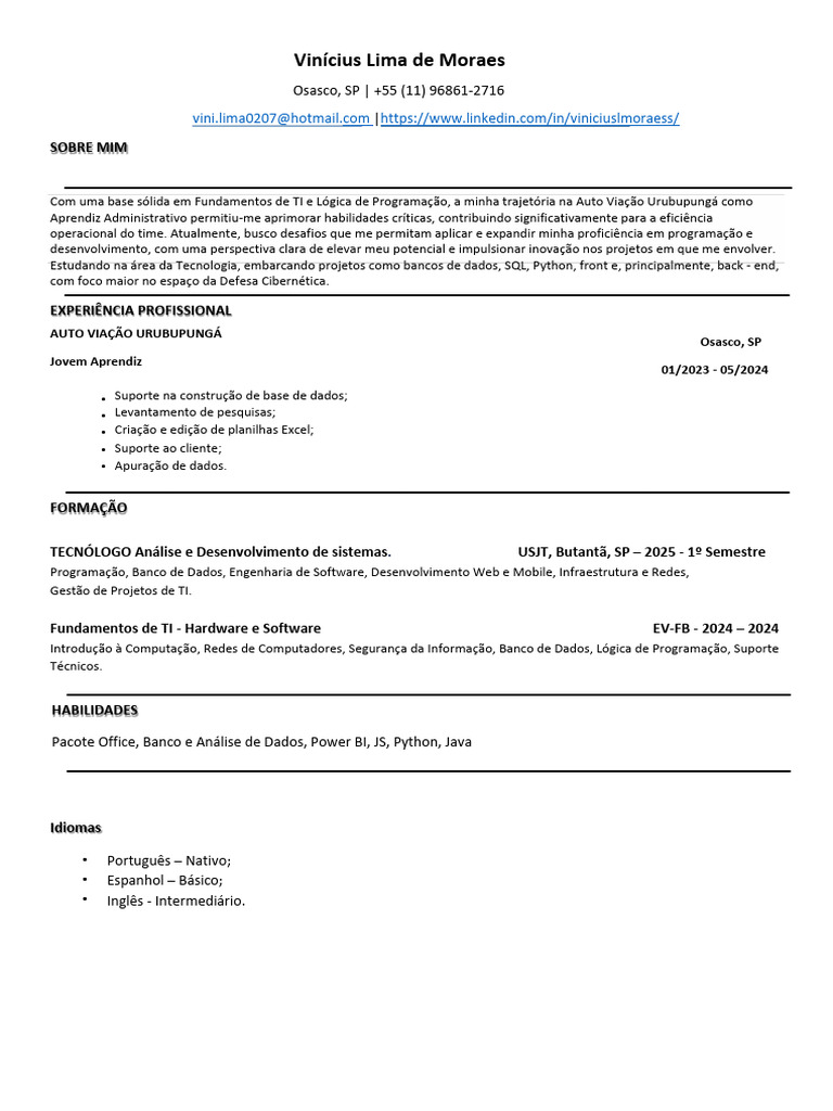 CV Vinicius PDF | PDF