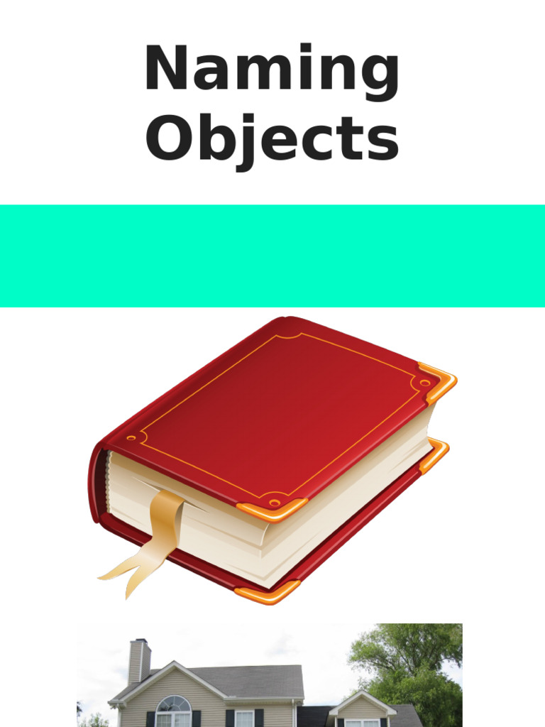 Naming Objects | PDF