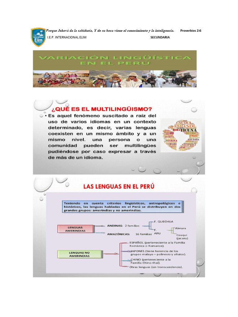 Teoria Multilinguismo | PDF