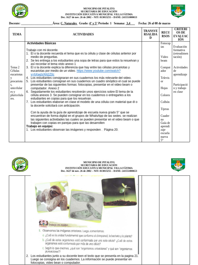 FORMATO DE PARCELACIÓN Naturales 4° y 5° 26 Al 08 Marzo 2024 | PDF ...