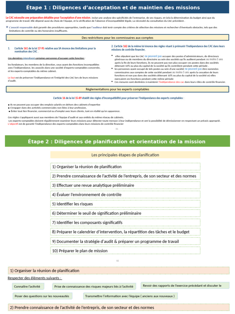 Demarche Audit | PDF | Audit | Risque