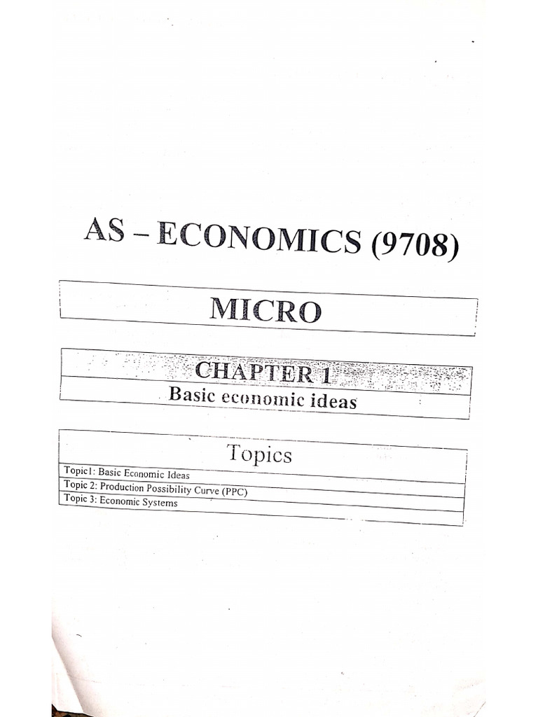 Basic Microeconomics Ideas | PDF