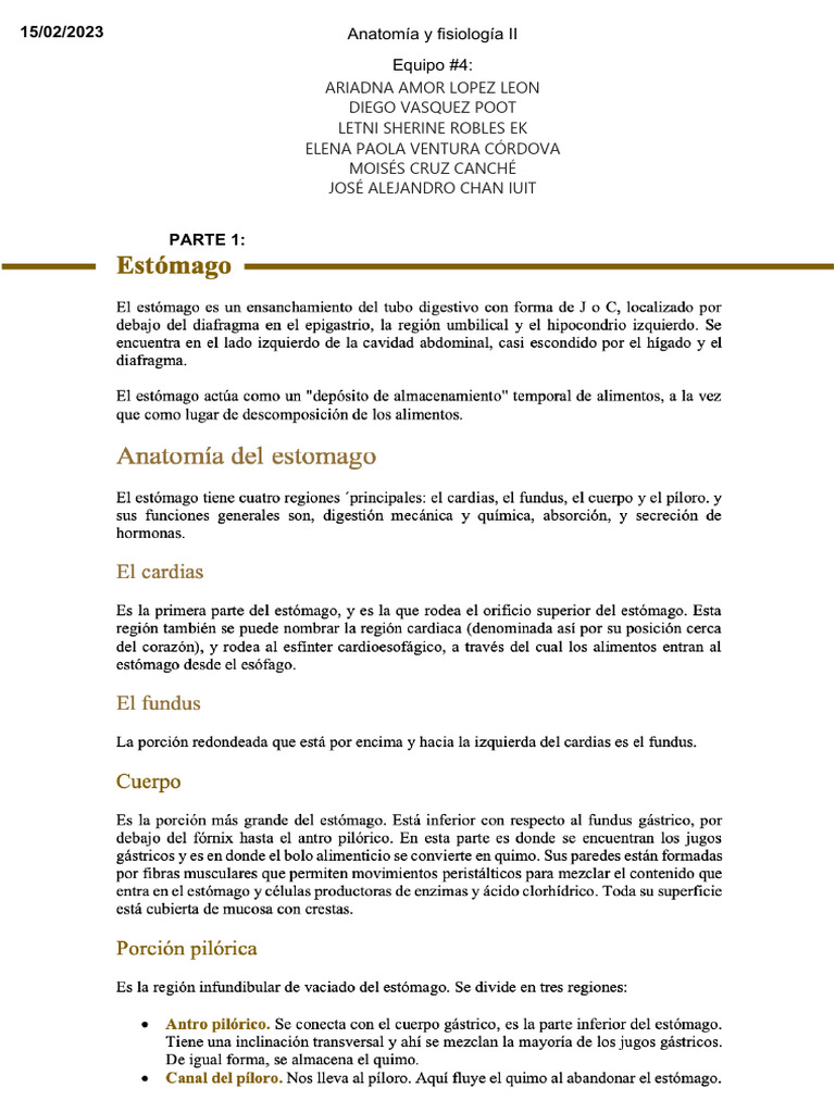 Estomago EQ4 4DA | PDF