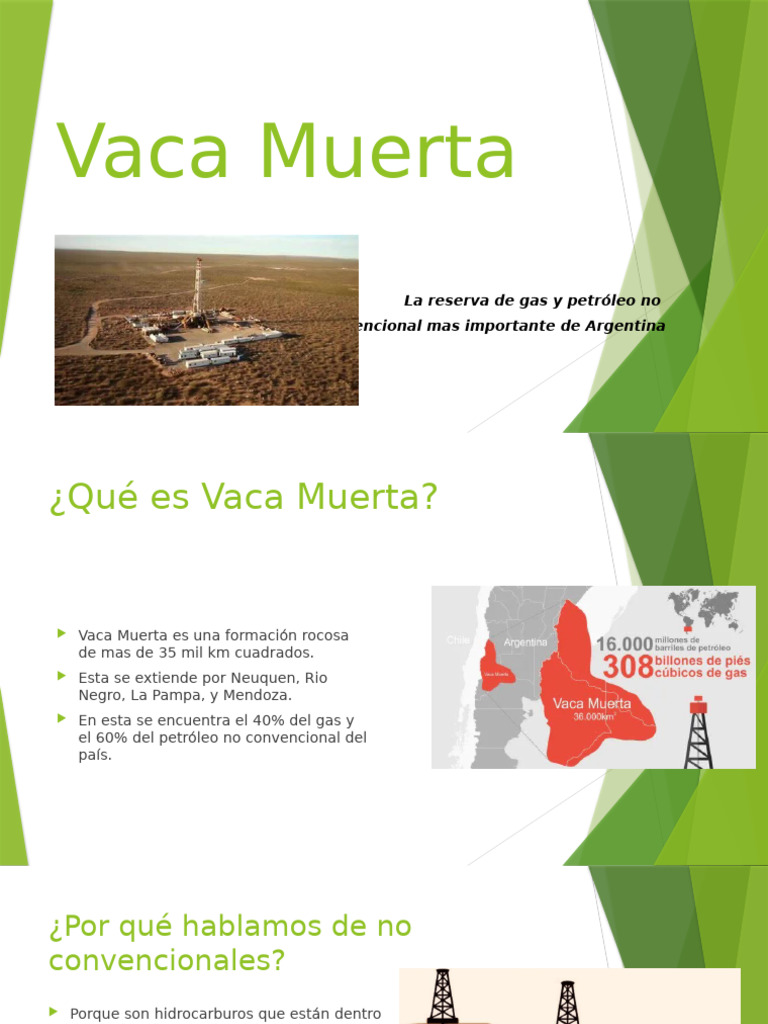 Vaca Muerta | PDF