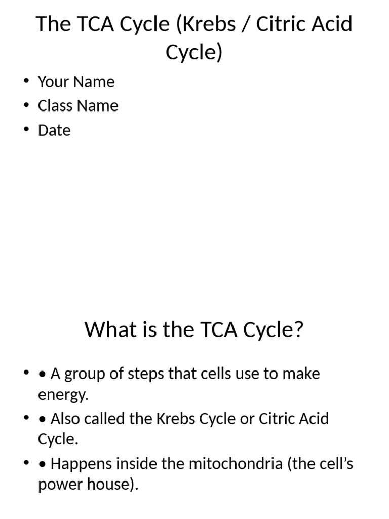 Understanding the TCA Cycle Explained | PDF