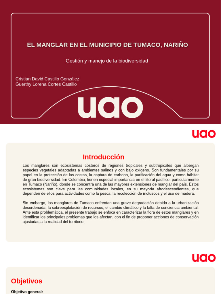 PRESENTACION GESTION Y MANEJO DE LA BIODIVERSIDAD | PDF | Mangle ...
