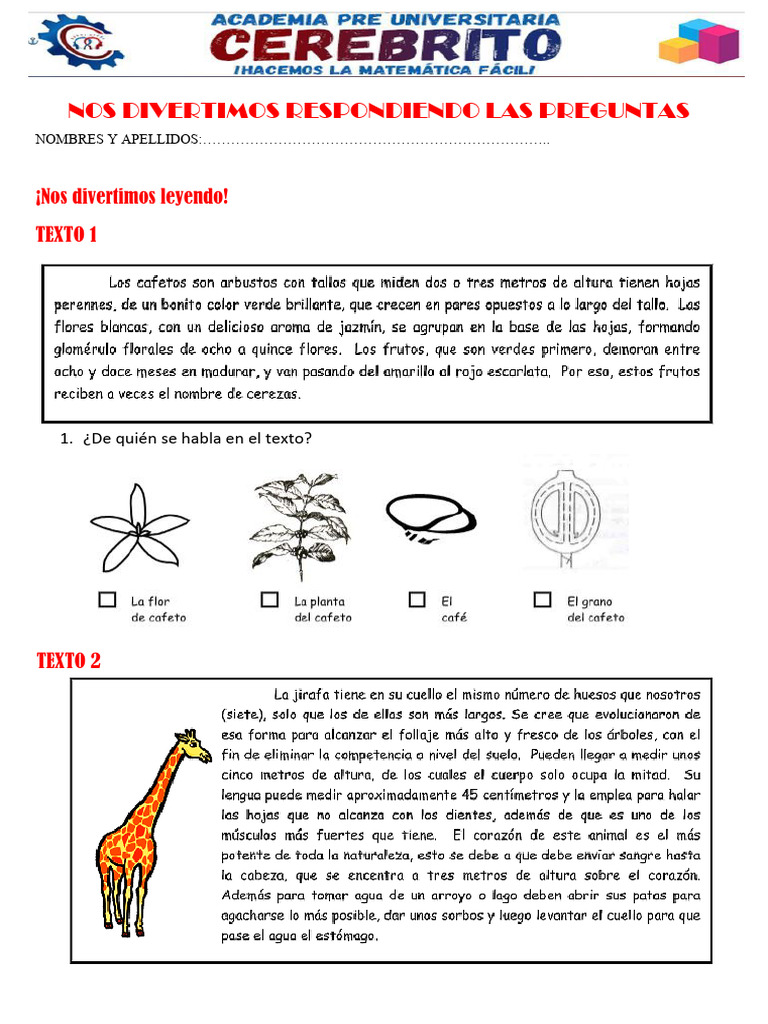 Primero y Segundo Sec. 12 | PDF