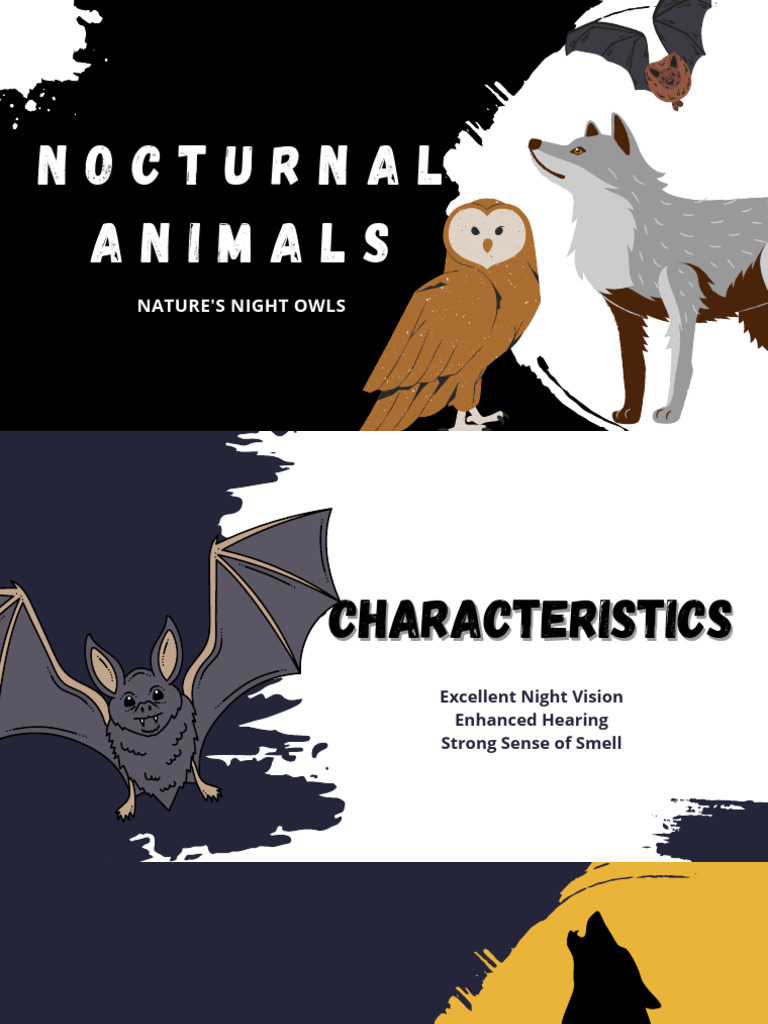 Nocturnal Animals and Their Traits | PDF