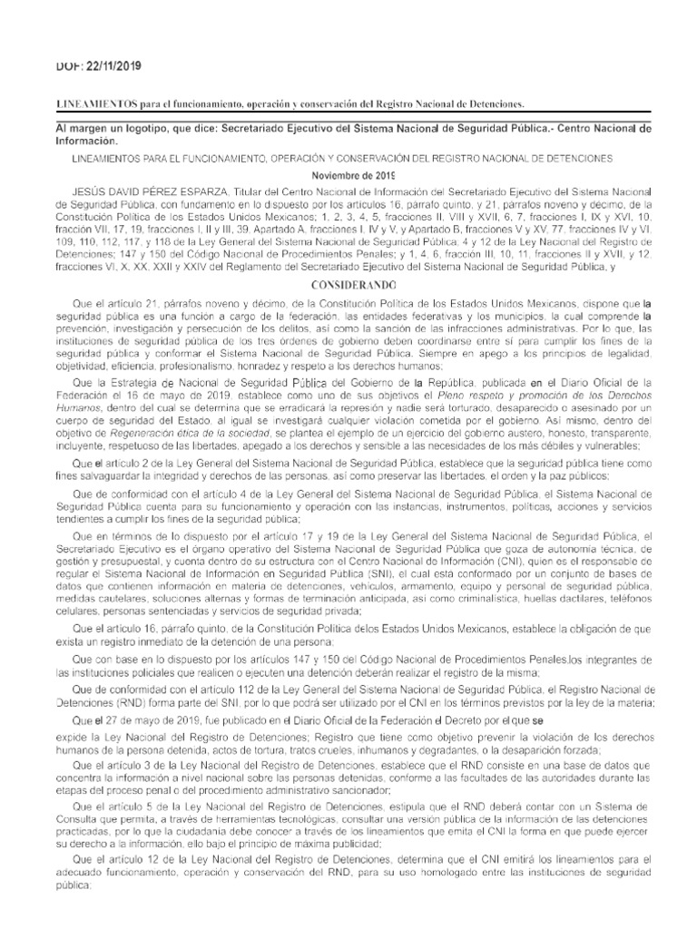 Lineamientos RND | PDF