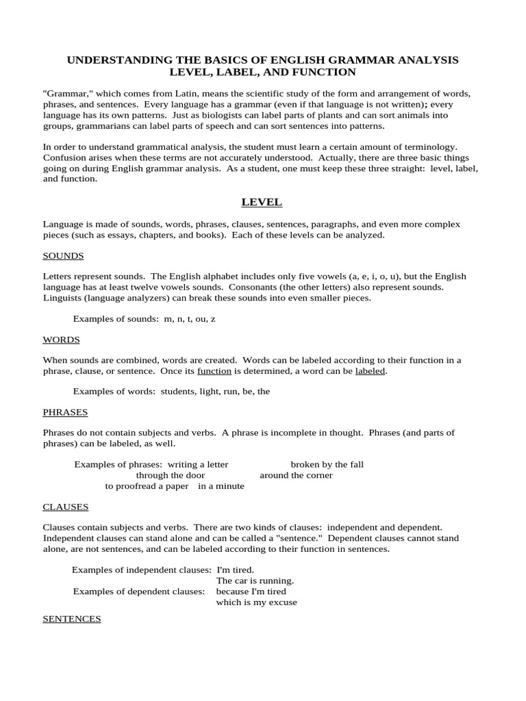 English Grammar Analysis Basics | PDF | Verb | Pronoun