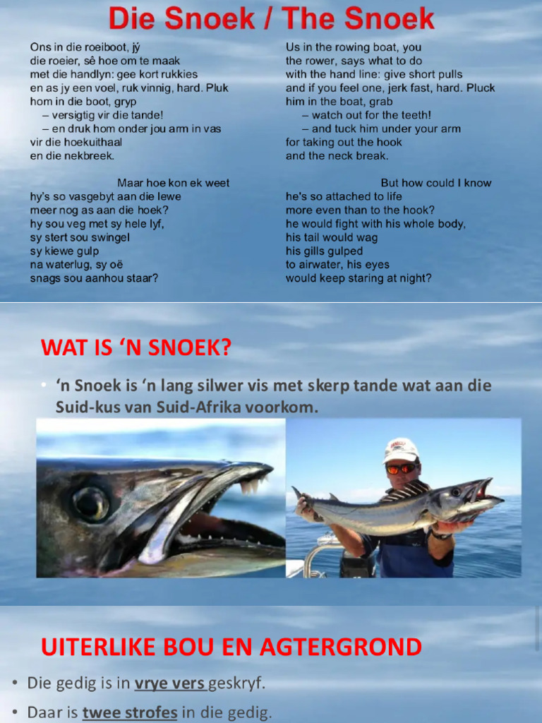 Die Snoek | PDF
