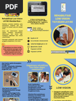 Pengertian Dan Definisi Low Vision (ICD-10, WHO Bangkok) | PDF