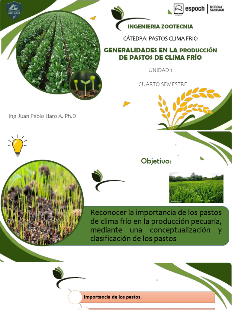 01 - Unidad 1 Generalidades Pastos TOTAL | PDF | Pasto | Suelo