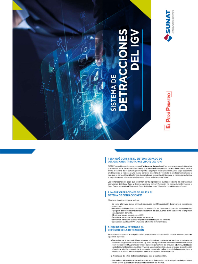 Sistema de Detracciones Sunat | PDF