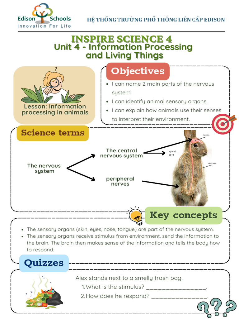 G4-U4-L1 Information Processing in Animals | PDF