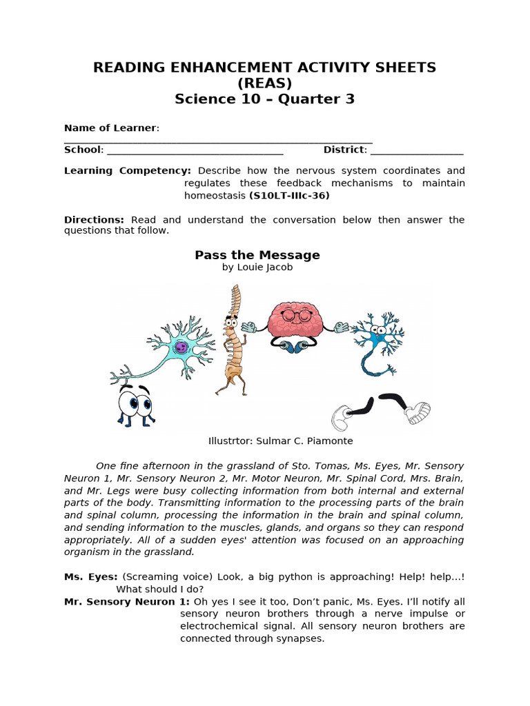 Science 10 - Quarter 3 - Week 3b | PDF | Neuron | Brain