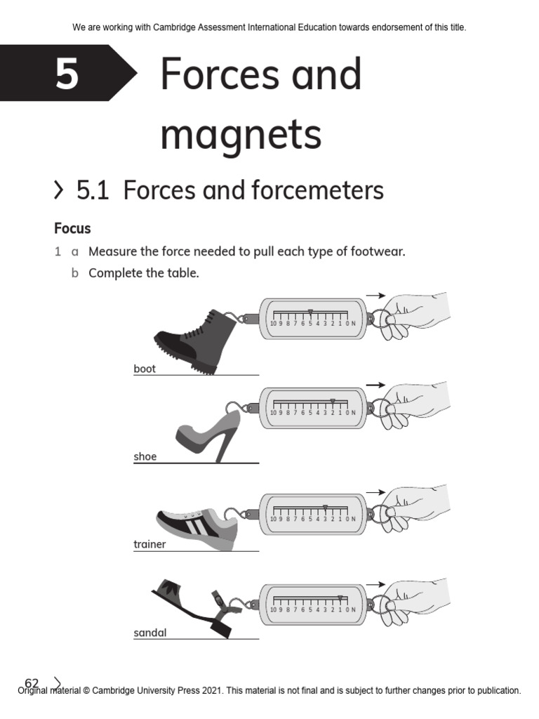 Forces and Magnets in Science | PDF | Friction | Magnet