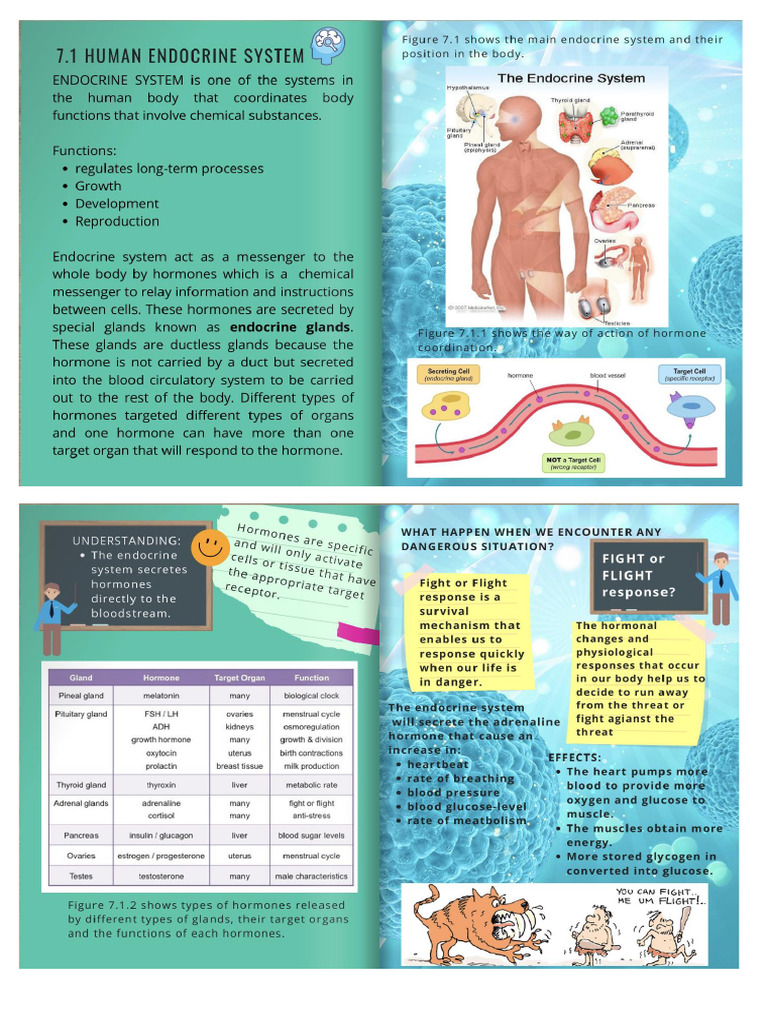 Form4 Science Chp7 - 30sep2024 | PDF