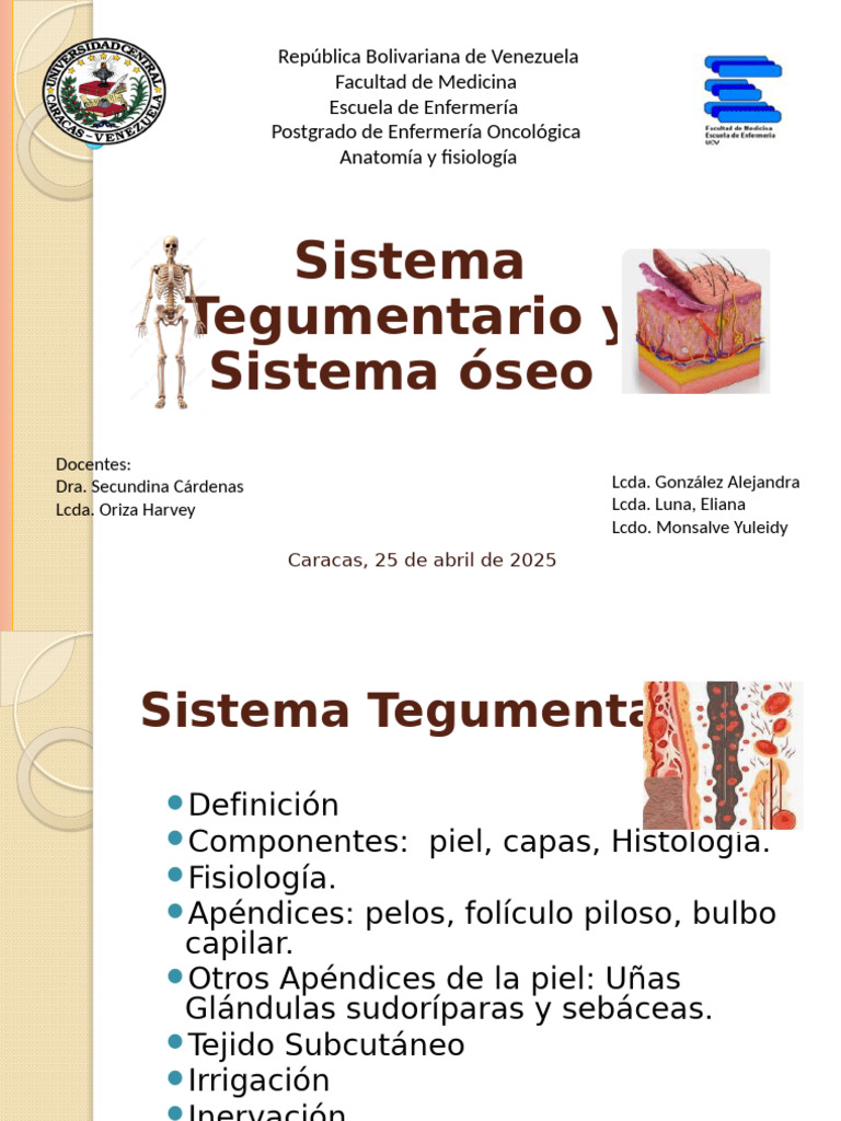 (Actualizadas) Sistema Tegumentario | PDF | Sistema tegumentario | Piel