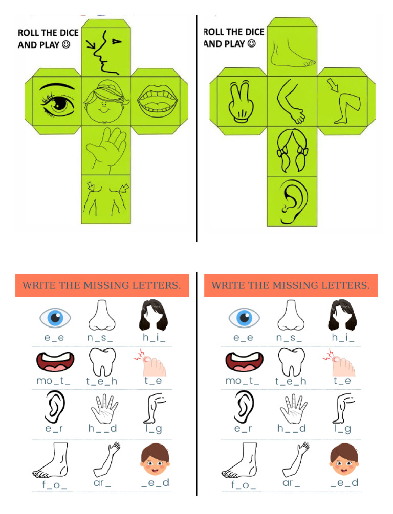 Body Parts Worksheet | PDF