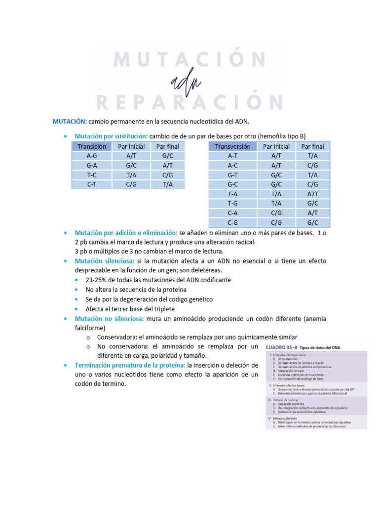 Mutaciones y Reparación Del Adn | PDF | Adn | Reparación de adn