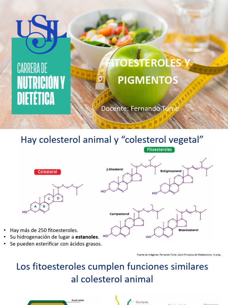 Fitoesteroles y Pigmentos en Alimentos | PDF | Metabolismo | Alimentos