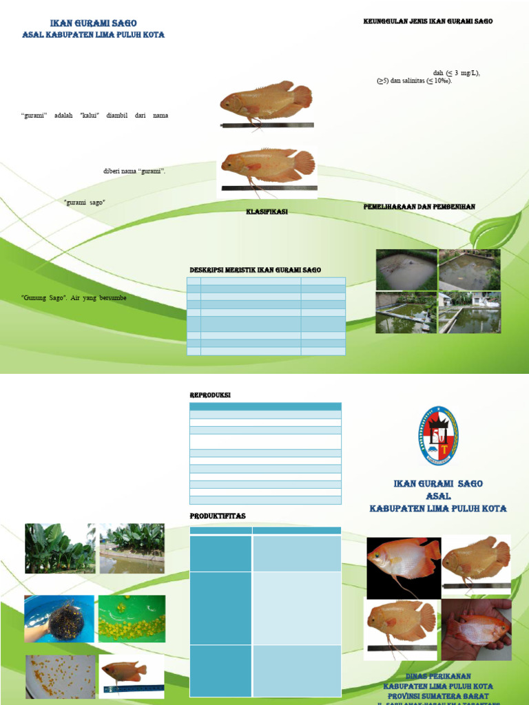 Leaflet Gurami Sago | PDF