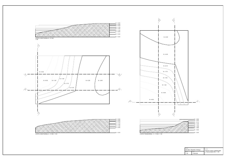 Alejandro Verdugo lamina cortes longitudinales y transversales | PDF