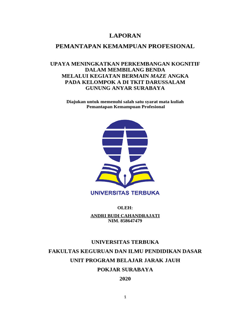 Hanya contoh Laporan PKP milik Ibu Andri | PDF