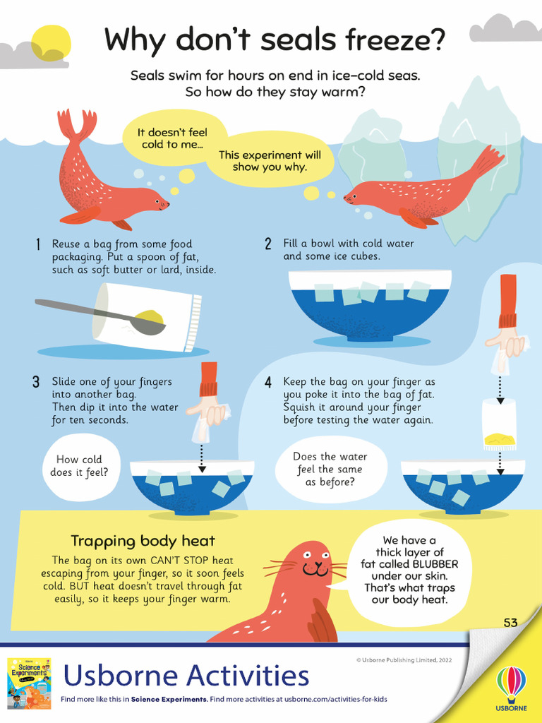science_experiments_activity_sheet | PDF