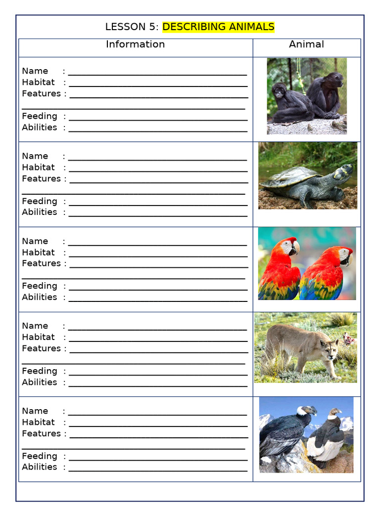 Lesson5-DESCRIBING ANIMALS | PDF | Habitat | Systems Ecology