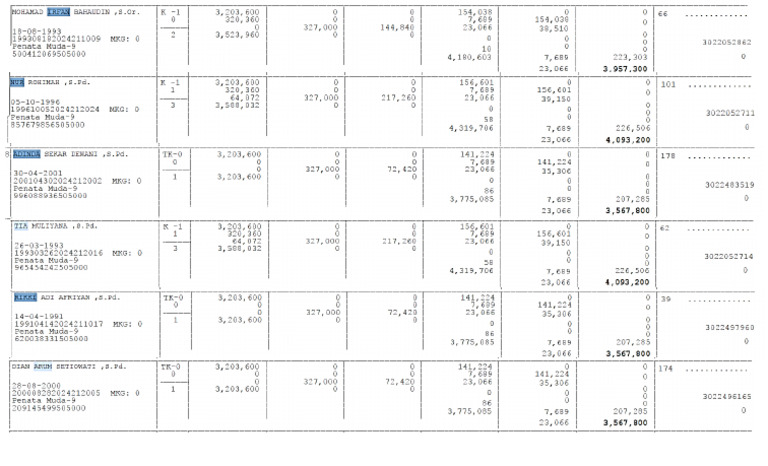 Leger Gaji PPPK Desember 2024 Irfan DKK | PDF