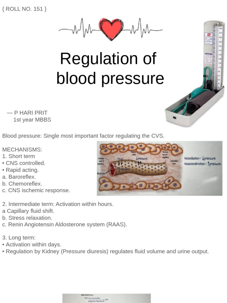 Regulation of Blood Pressure | PDF | Blood Pressure | Circulatory System