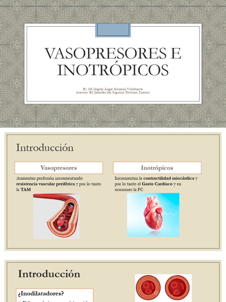 Vasopresores e inotrópicos | PDF | Norepinefrina | Especialidades Medicas