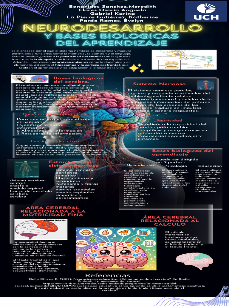 Infografia Neurodesarrollo | PDF | Desorden hiperactivo y deficit de atencion | Aprendizaje
