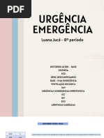 5Hs e 5Ts Da PCR | PDF | Coração | Sangue