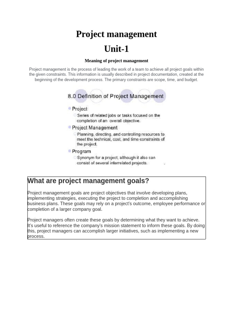 Project Management Overview and Techniques | PDF | Project Management ...