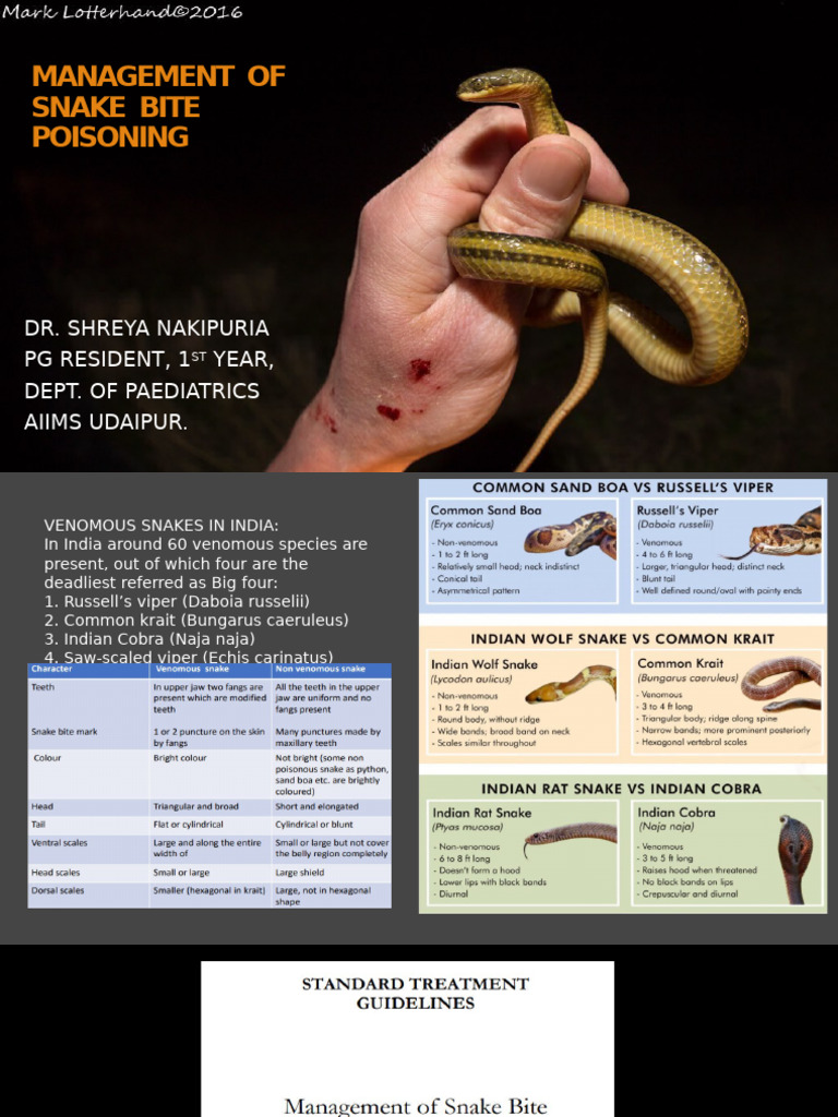 Snake Bite Management Guidelines | PDF | Medical Specialties | Clinical ...